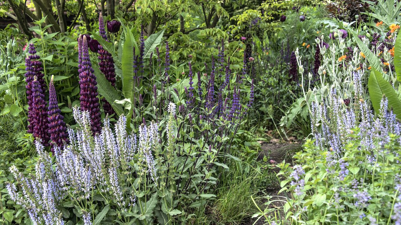 Bokep sotwe jilbab indo the process of verification was