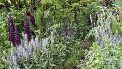 Plant fertilizer numbers: NPK ratios explained | Homes and Gardens