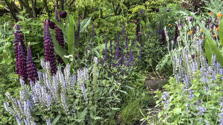 Bokep sotwe jilbab indo the process of verification was