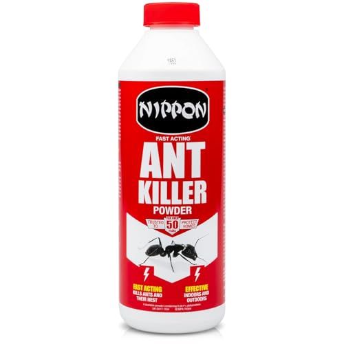 Does salt kill ants? Yes, but this is why you should avoid it | Ideal Home