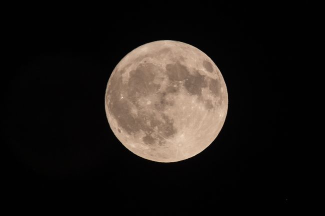 Strawberry Moon of June 2023 sweetens the night sky in amazing photos ...
