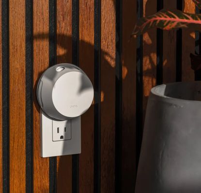 The best places to position a diffuser, according to experts | Livingetc