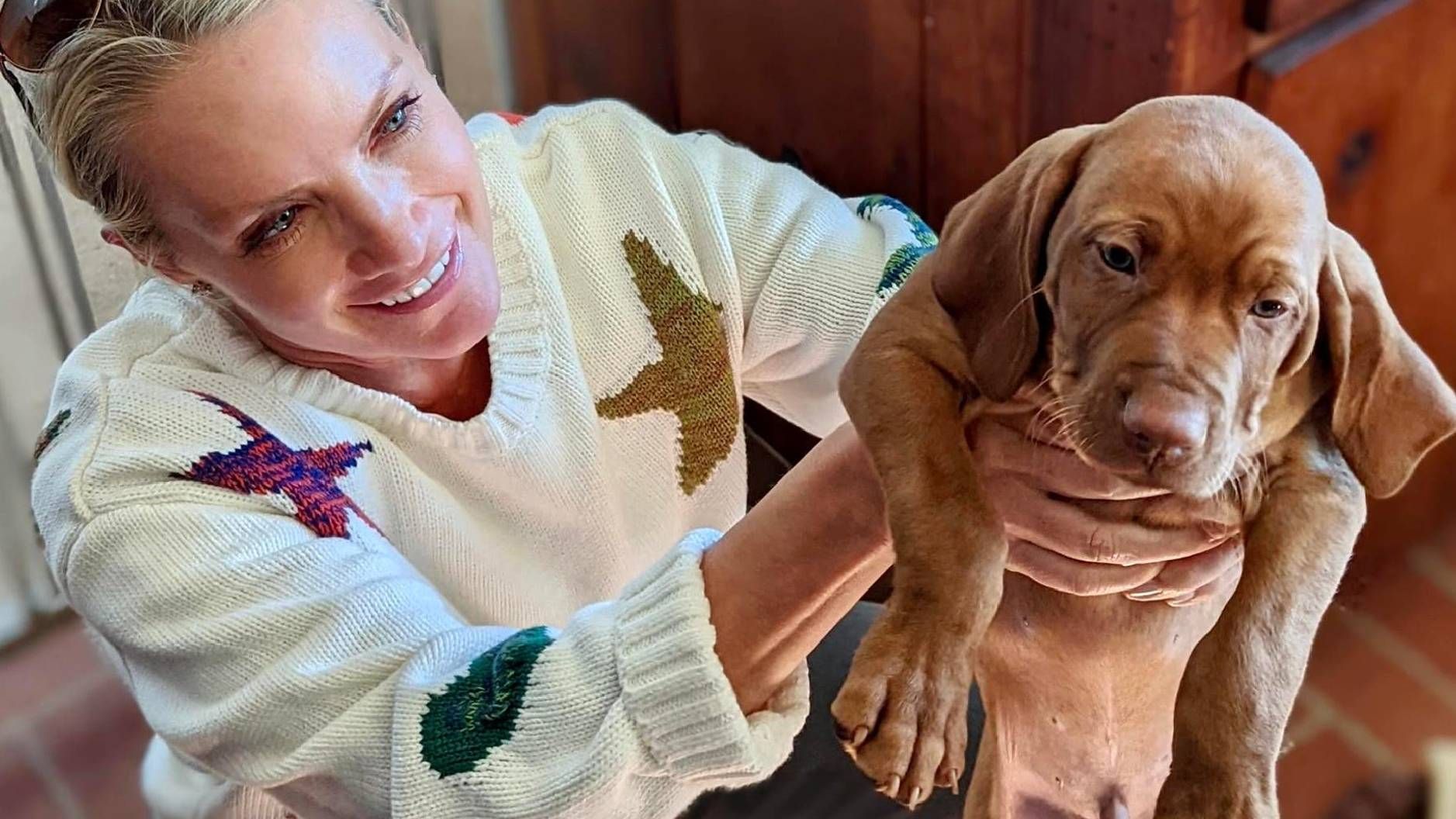 Meet Dana Perino's new dog: Percy Vizsla | PetsRadar
