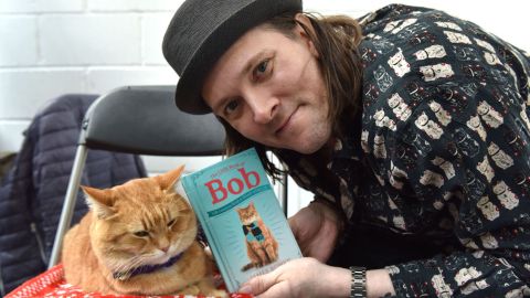 15 of the most famous cats (and how they rose to stardom) | PetsRadar