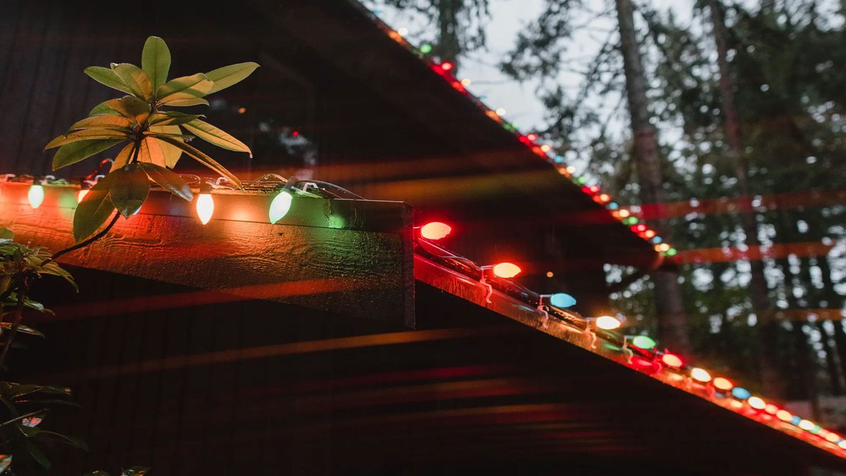 Moment CineFlare Streak filters bring anamorphic flare to your phone ...