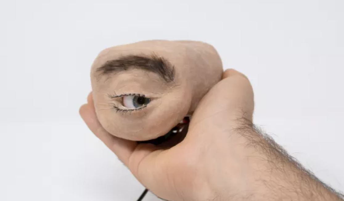 Eyecam Is a Raspberry Pi-Powered Webcam That Looks Like a Human Eye ...