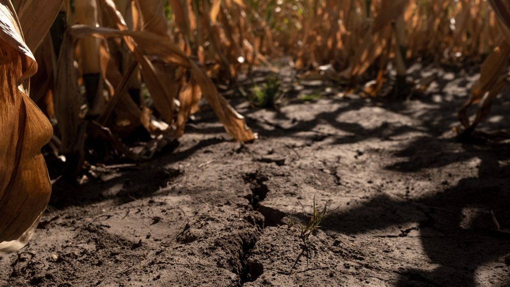 Earth's worst heat waves of recent decades didn't happen when you think ...