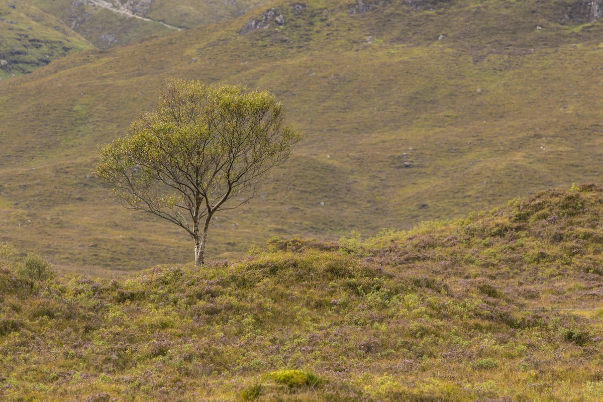 10 tips for stunning landscapes: take incredible scenic shots with your ...