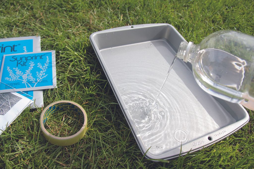 Home photography ideas: How to make a sunprint in just 30 minutes ...
