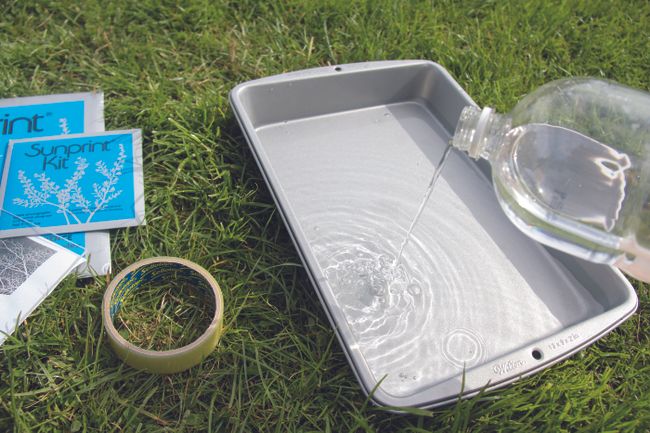 Home photography ideas: How to make a sunprint in just 30 minutes ...