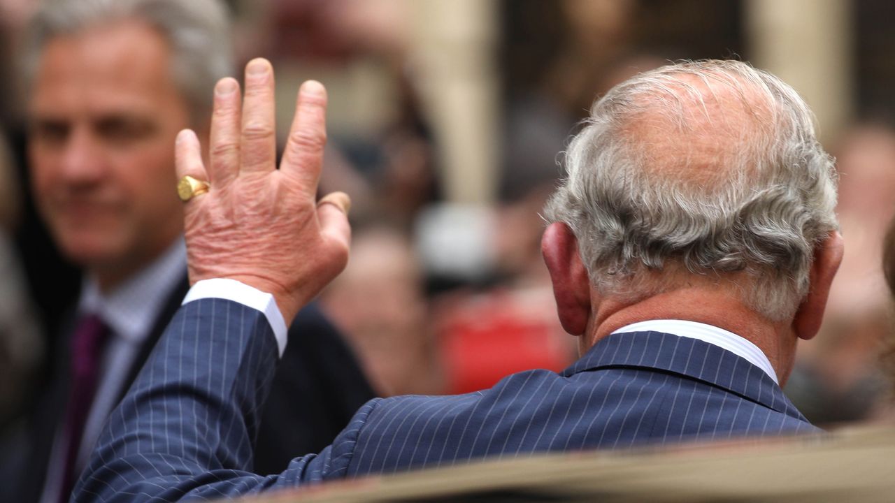 King Charles' 'sausage fingers' spark concern from royal fans | Woman ...