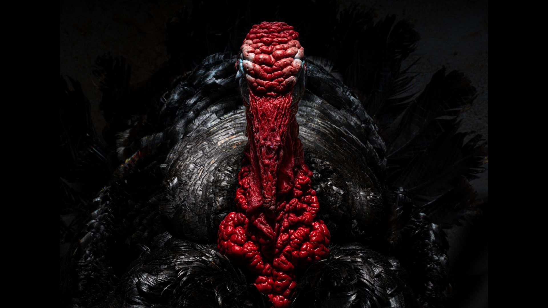 The future of wildlife photography is in good hands as an eight-year ...