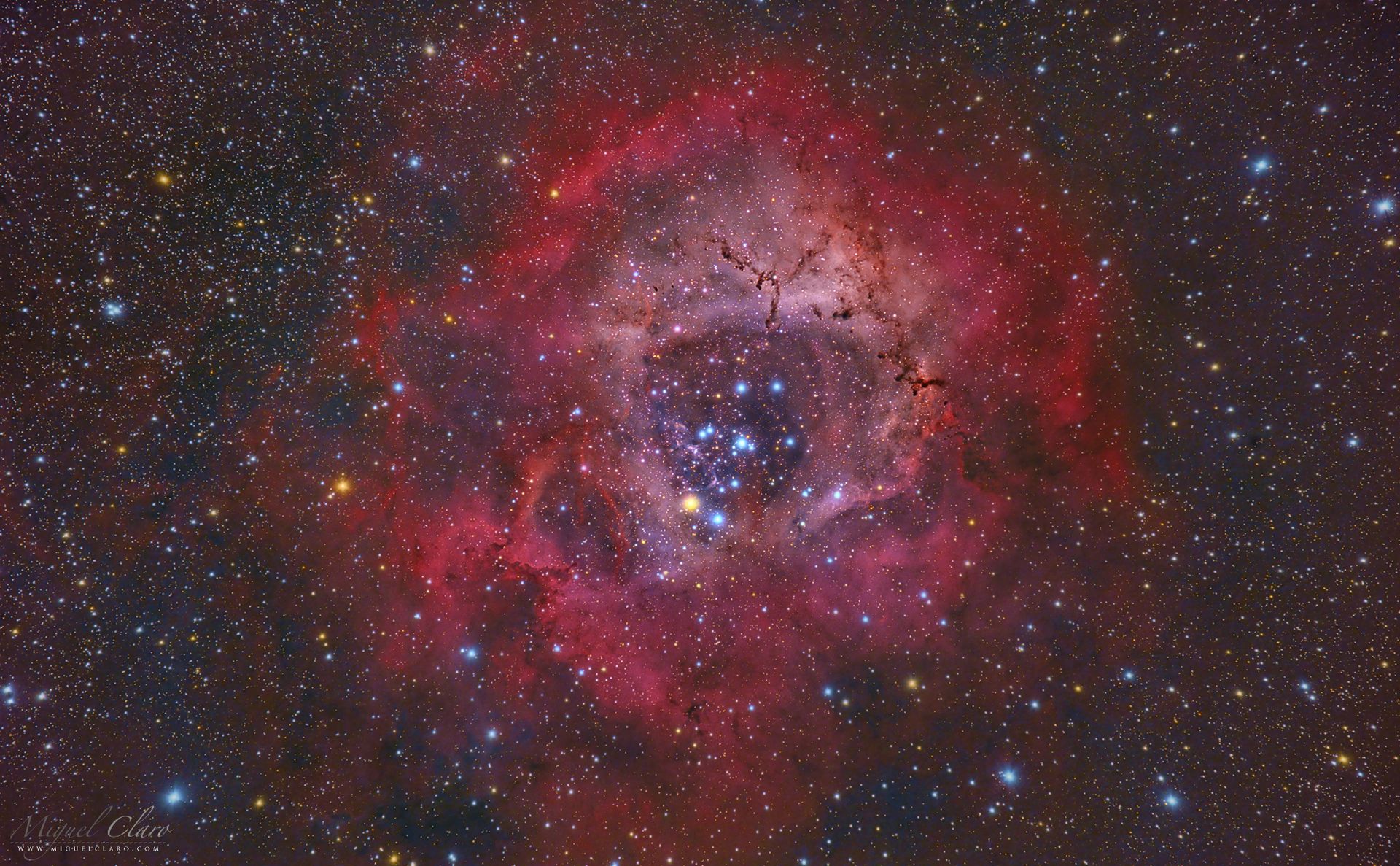 In Full Bloom: Astrophotographer Snaps Stunning Rosette Nebula Photo ...