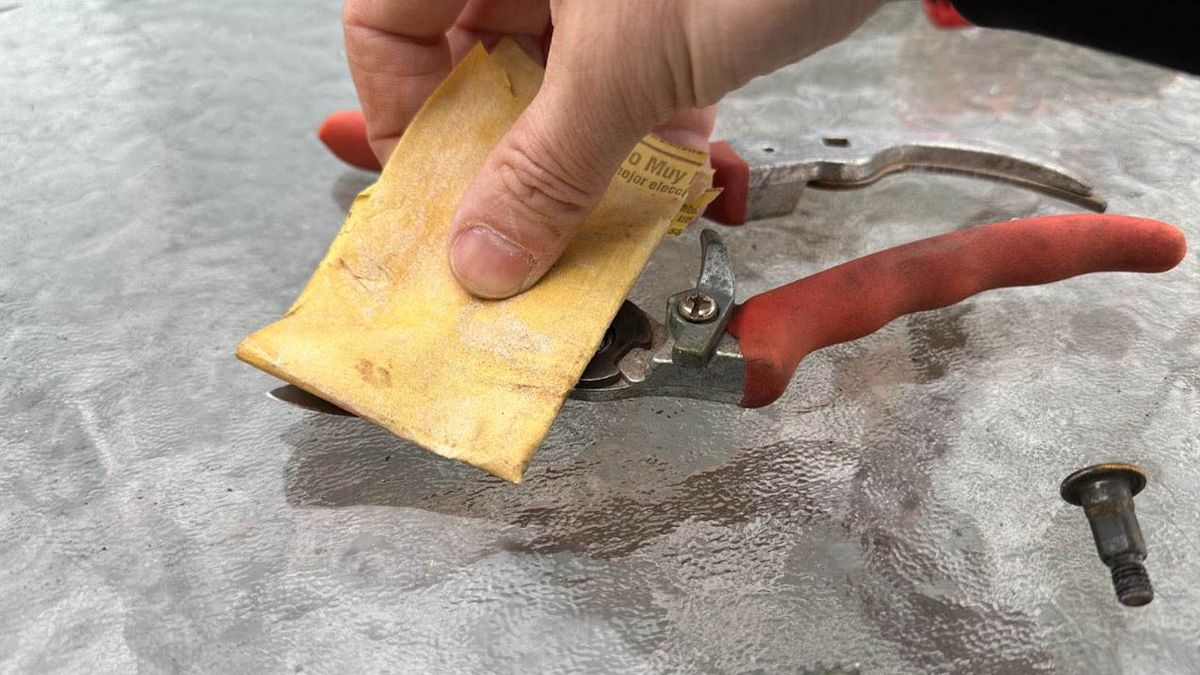 5 easy tips for cleaning pruning shears | Tom's Guide