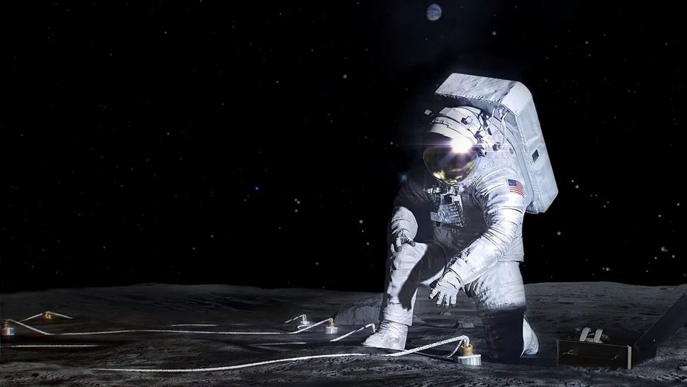 Artemis astronauts will carry plants to the moon in 2026 | Space