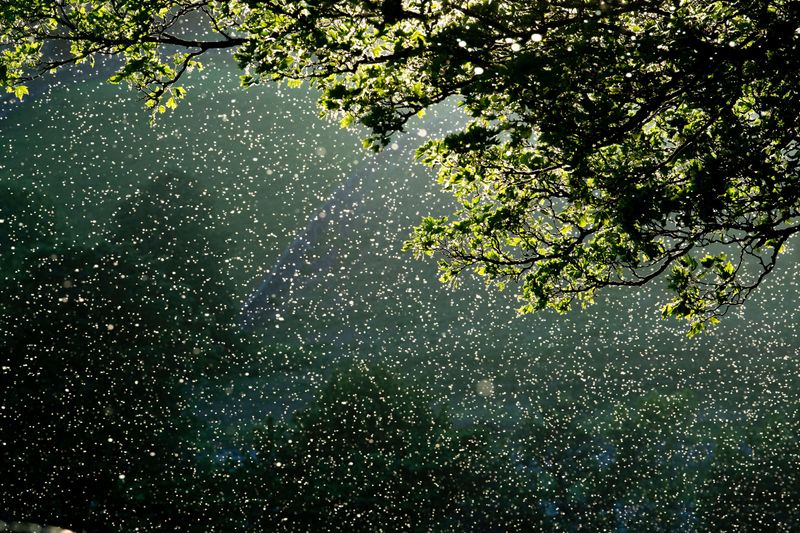 Nature | Country Life