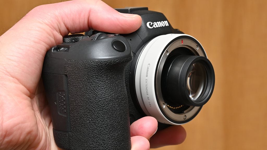 Canon Extender RF 1.4x review: a revamped teleconverter for the EOS R ...