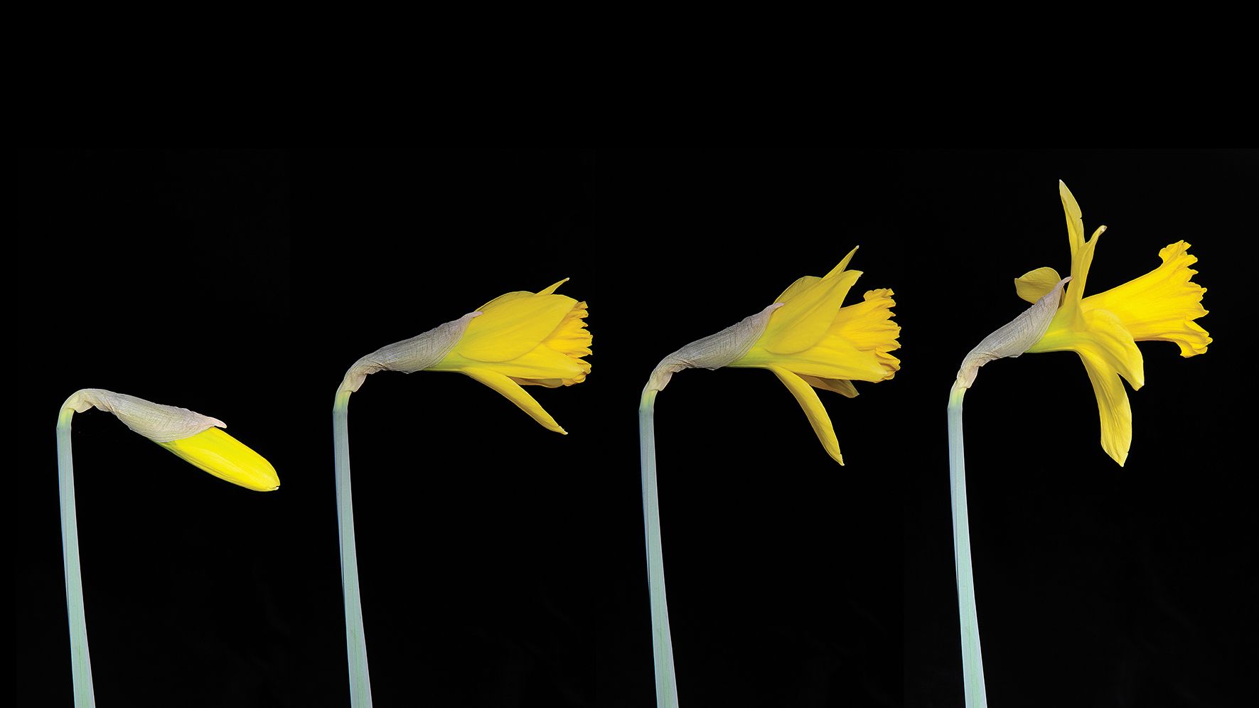 How to shoot a single-frame time-lapse | Digital Camera World