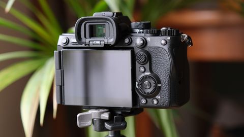 After a blockbuster debut, this mirrorless tops Japan's best-selling ...