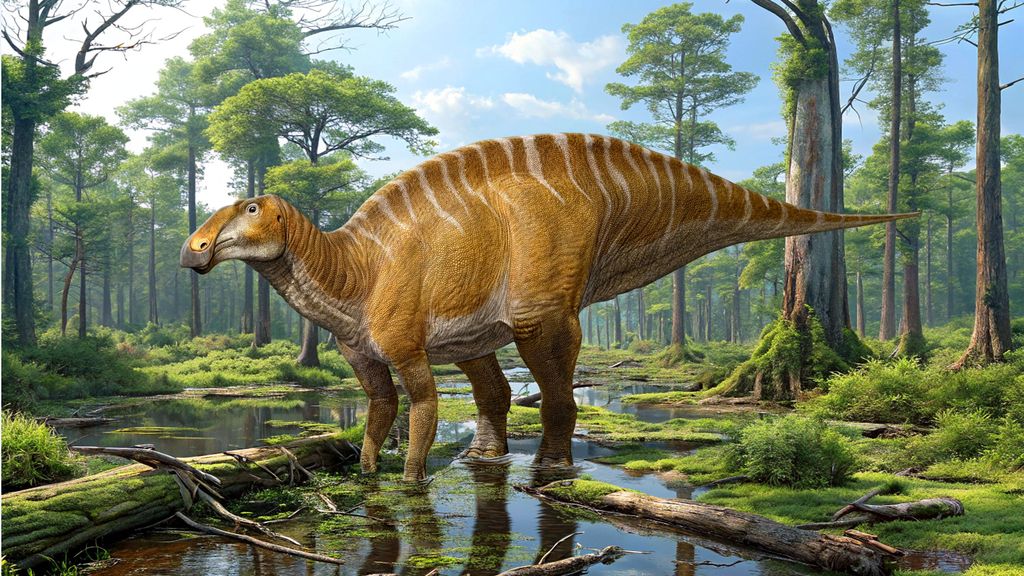 Fossil unearthed in New Mexico over 100 years ago is never-before ...