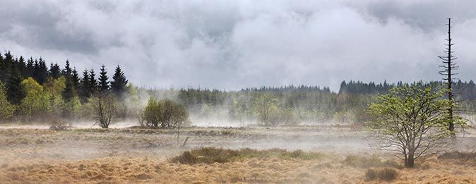 The Fens: In celebration of the magic of a landscape that’s fascinated ...