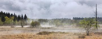 The Fens: In celebration of the magic of a landscape that’s fascinated ...