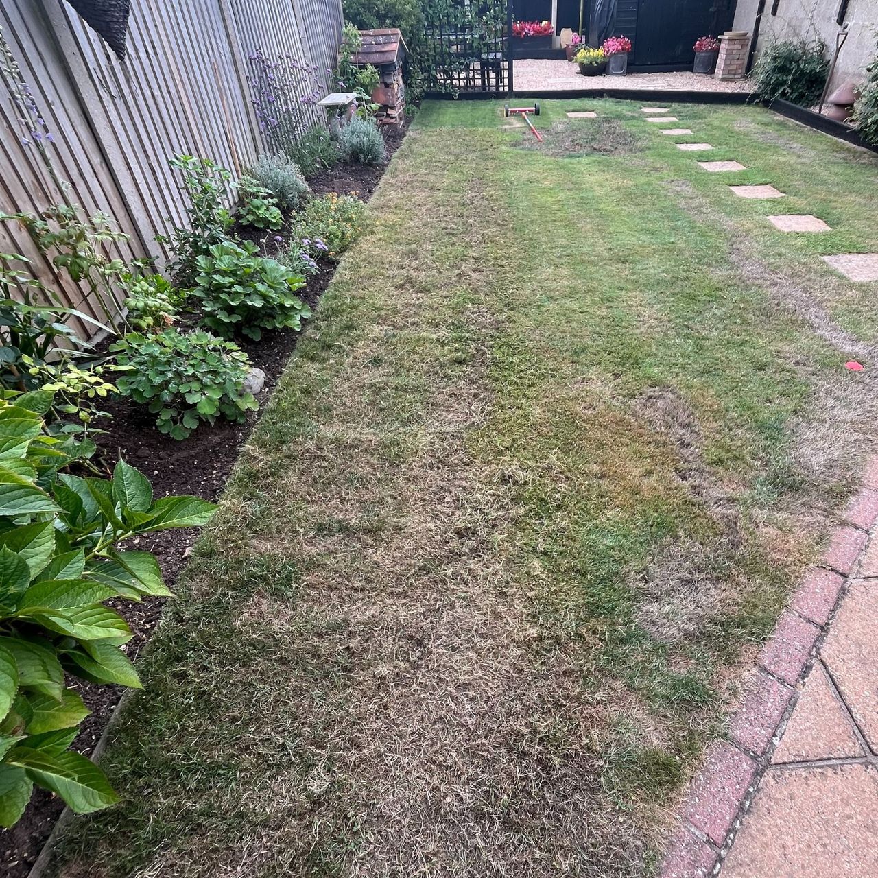 I scarified my lawn and it transformed it in two weeks | Ideal Home