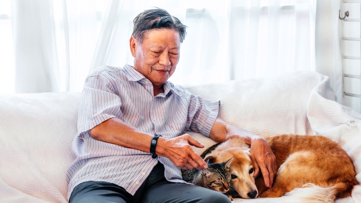 National Pet Week: When is it and how to celebrate | PetsRadar