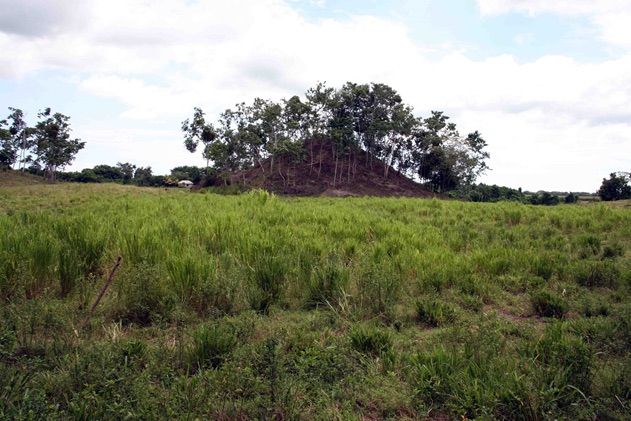 Photos: Hidden Monuments Found at Ancient Site of Izapa Kingdom | Live ...