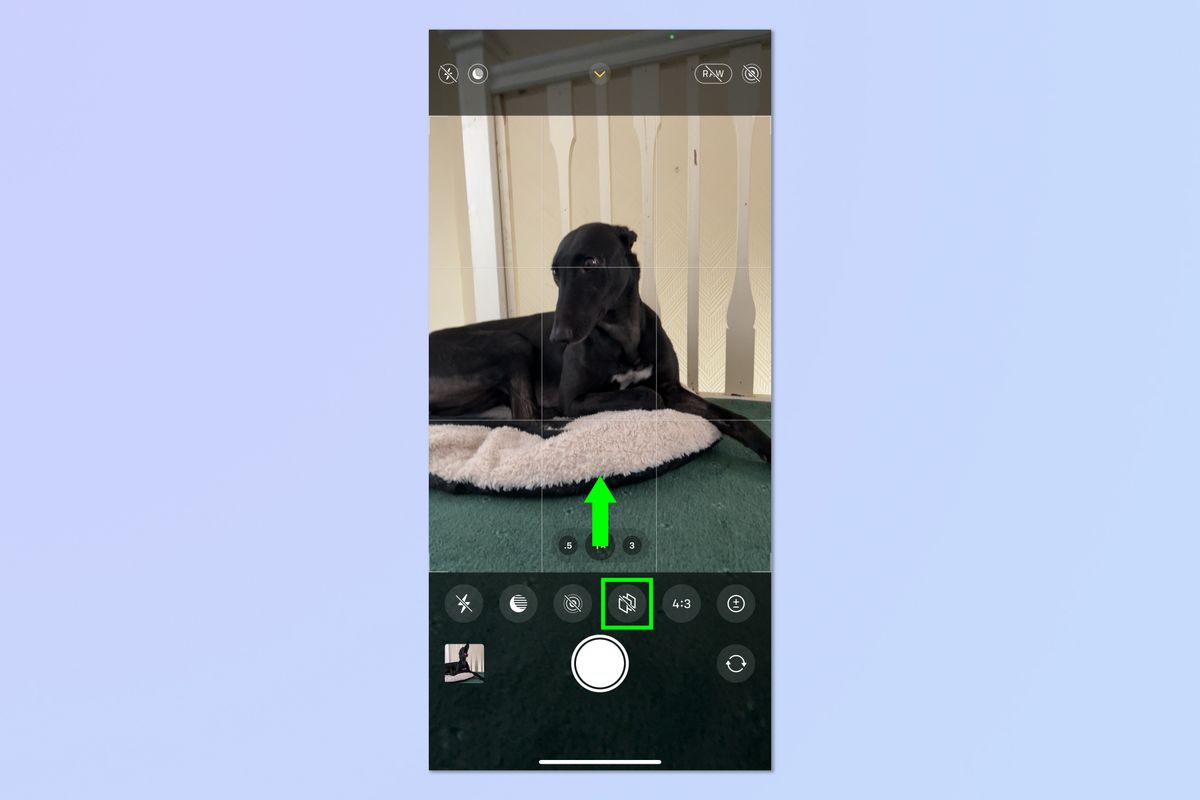 How to set Photographic Styles on iPhone | Tom's Guide
