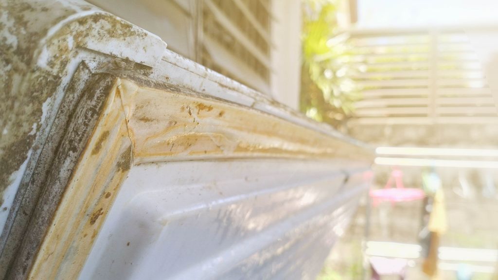 Stubborn mold in your refrigerator seal? 3 expert tips to get rid of it ...