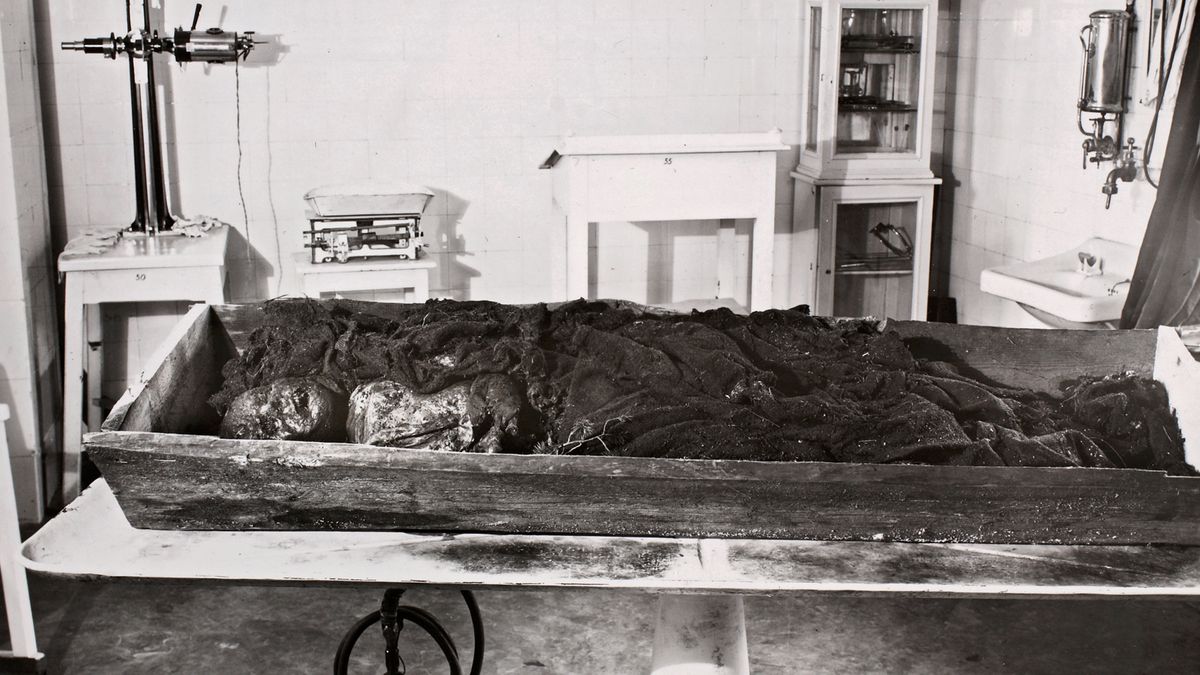 Who were Europe's 'bog bodies'? Deep look uncovers the secrets of this ...