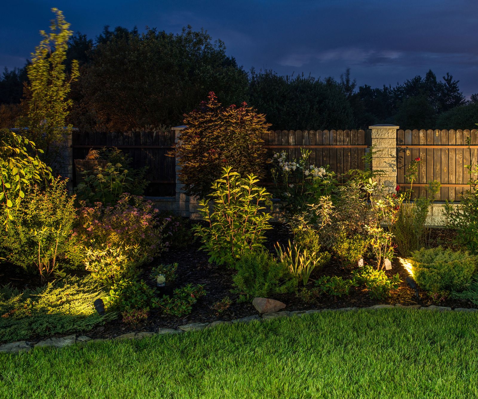How to uplight a tree – expert methods | Homes and Gardens