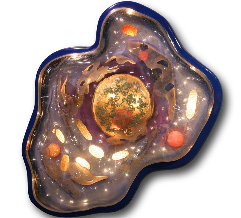 How Ancient Life May Have Come About | Live Science