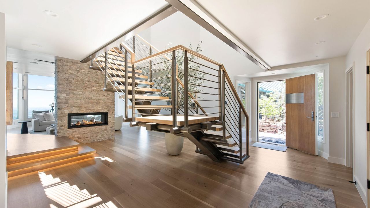 How to get rid of boxelder bugs outside your house: expert tips | Homes ...