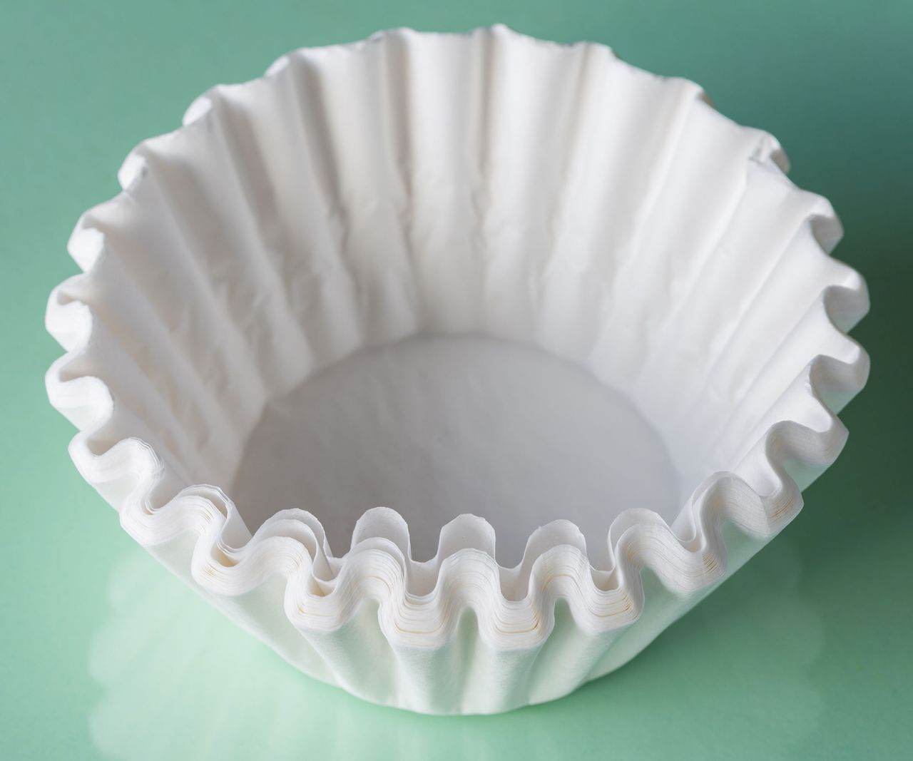 Why To Put A Coffee Filter In The Bottom Of Your Plant Pot | Gardening ...