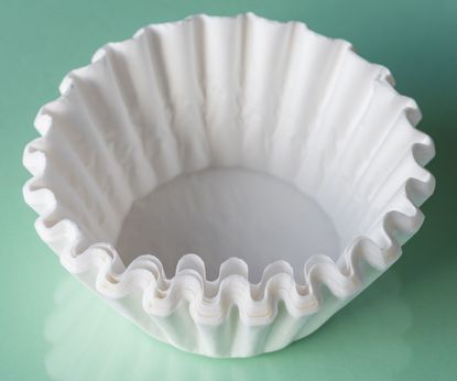 Why To Put A Coffee Filter In The Bottom Of Your Plant Pot | Gardening ...