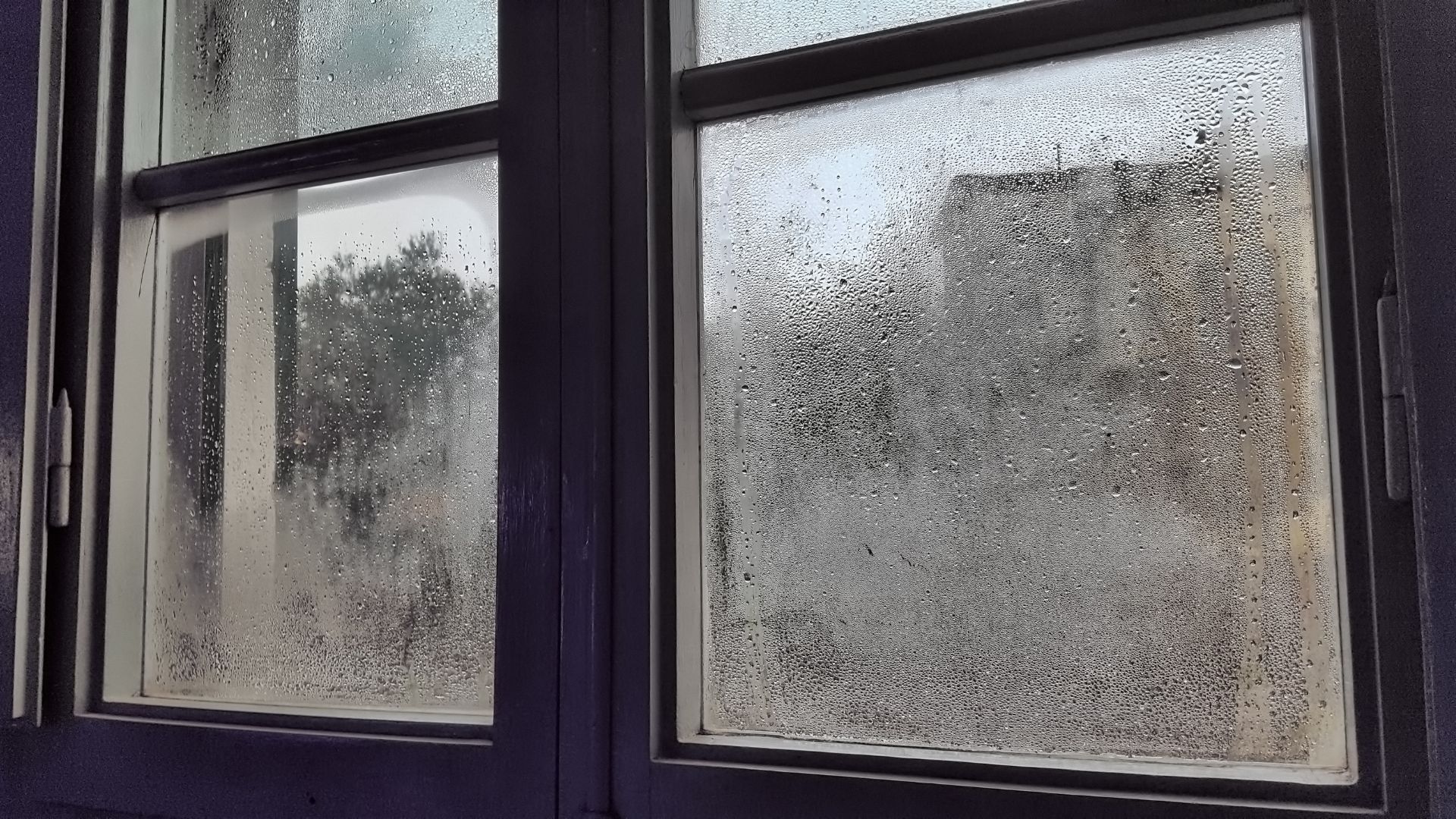 Why do my windows have condensation on the inside? Expert advice ...