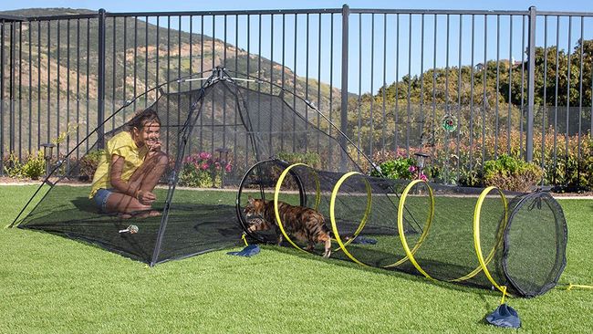 Best outdoor cat enclosures 2024: Let your feline explore nature safely ...
