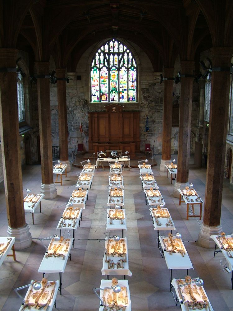 Headless Roman Gladiator Skeletons Identified (Photos) | Live Science