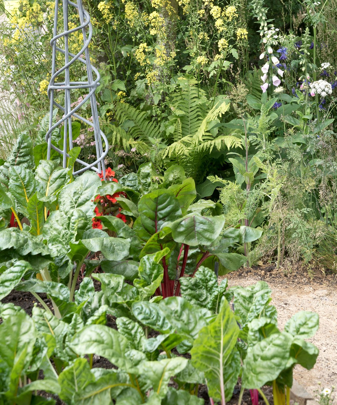 Forest garden ideas: guide to enchanting edible gardens | Homes and Gardens