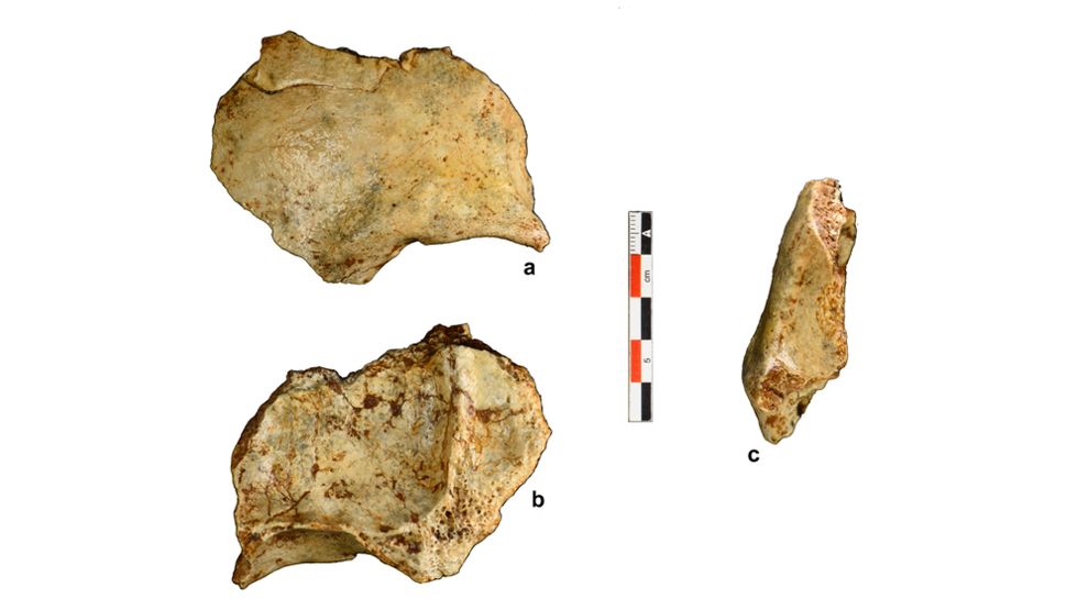 86,000-year-old human bone found in Laos cave hints at 'failed ...