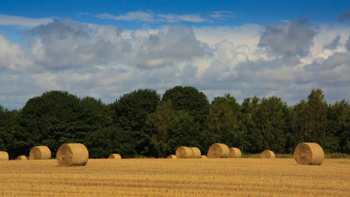 Imerge Pro review | Digital Camera World