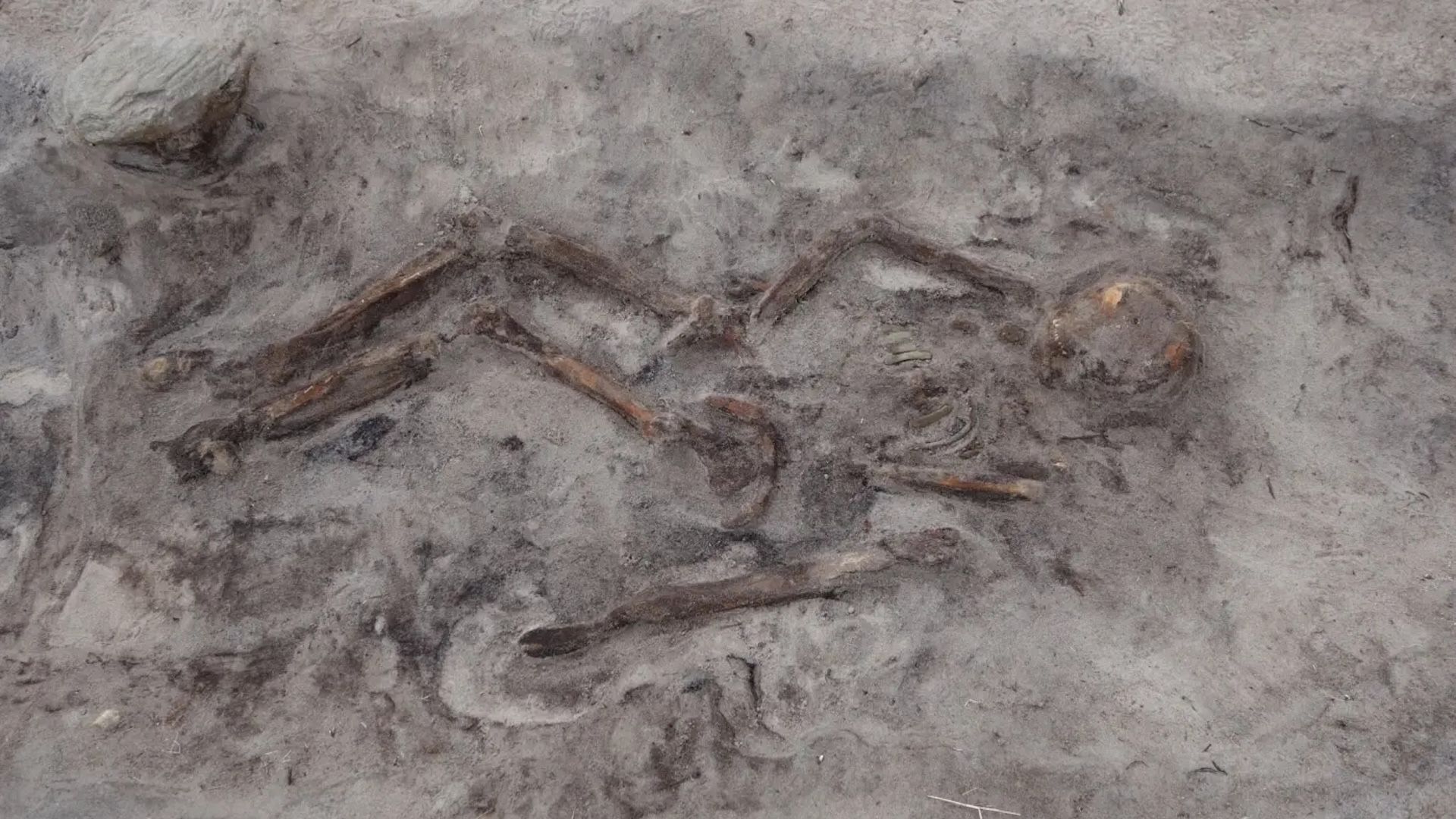 Viking Age woman was buried with her dog in an elaborate 'boat grave ...