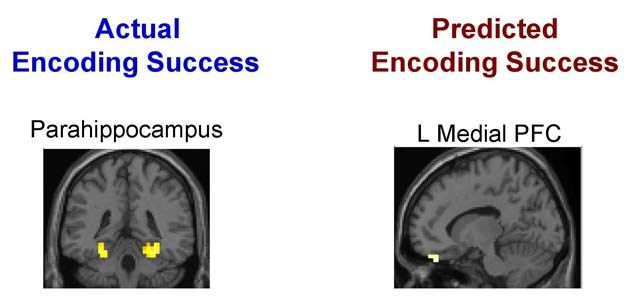 Key to a Good Memory: Predict What You Need to Remember | Live Science