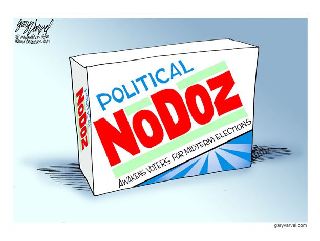 Political cartoon midterm election voter turnout | The Week