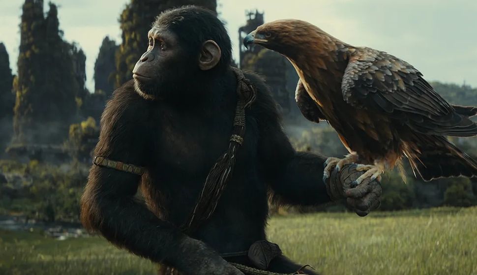 Kingdom Of The Planet Of The Apes: release date, cast, plot | What to Watch