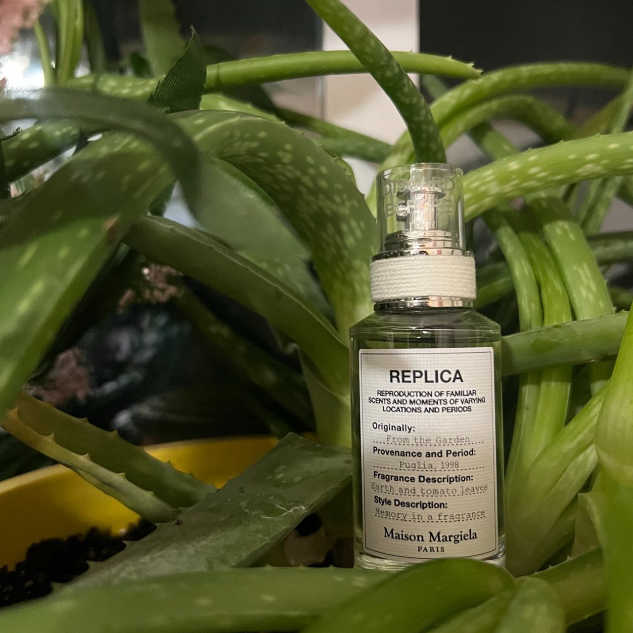 15 Best Light Perfumes Perfect for Warm Weather | Marie Claire