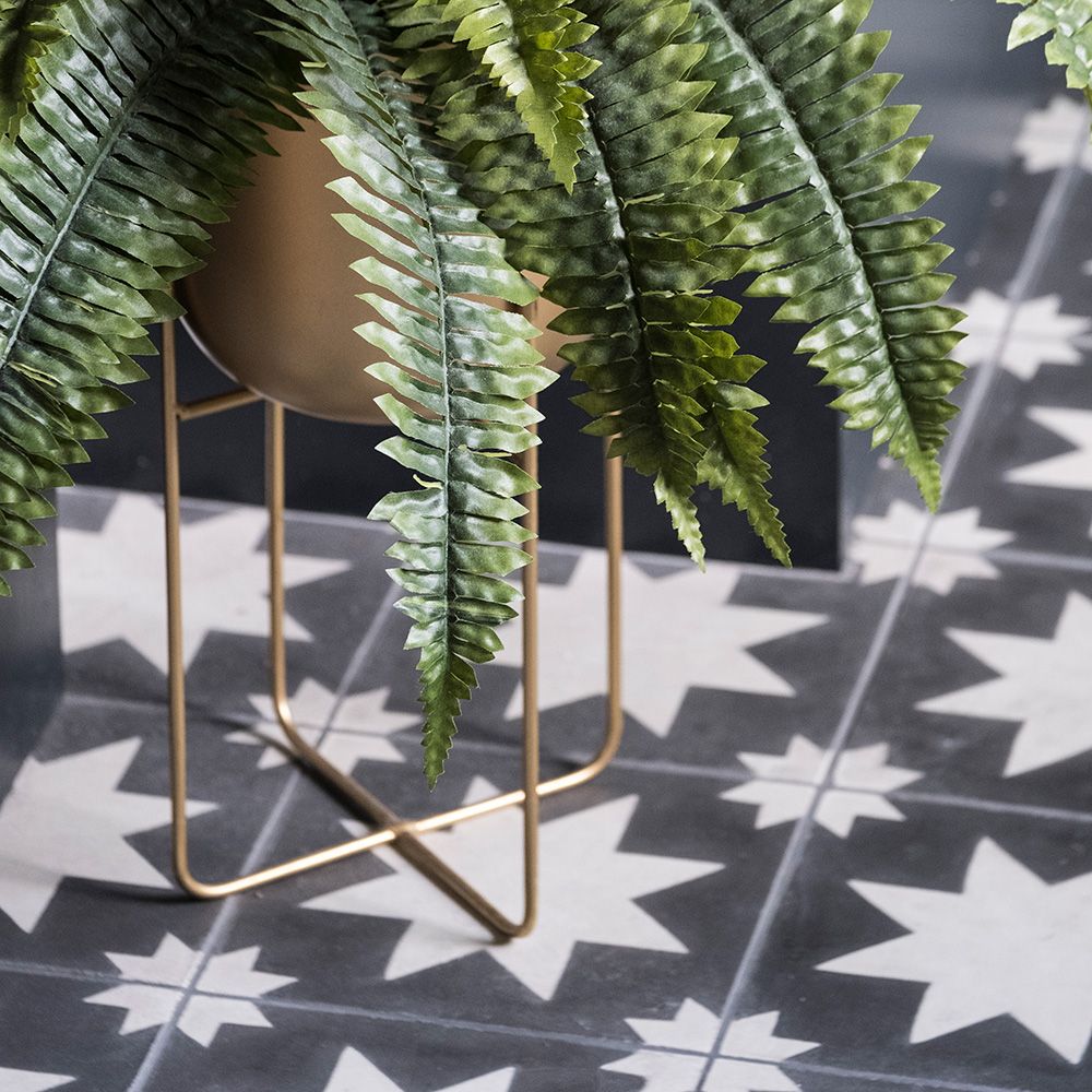 Best plants for condensation and damp – 7 easy-care options | Ideal Home