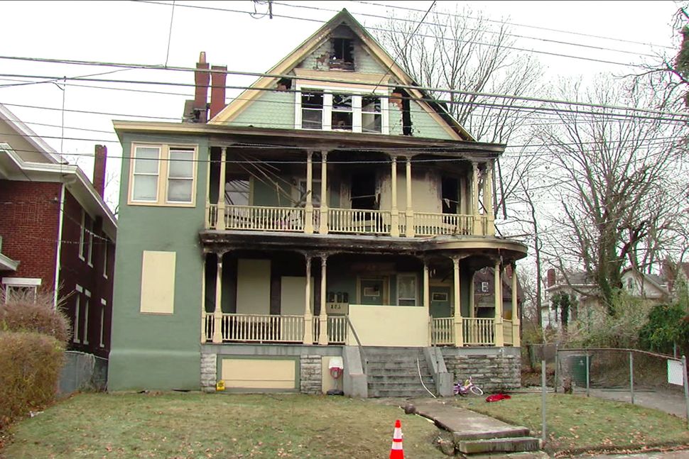 8 Human-Animal Encounters That Went Horribly Wrong in 2017 | Live Science